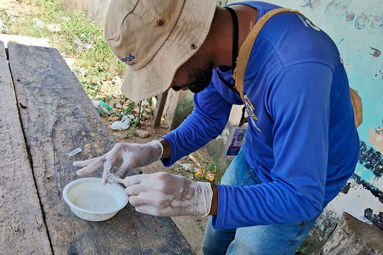 Segundo LIRAa de 2025 com redução e índice de infestação do Aedes ...